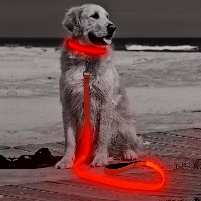 USB Rechargeable LED Dog Leash , LED Reflective Pet Leash 47.2 Inch 120cm