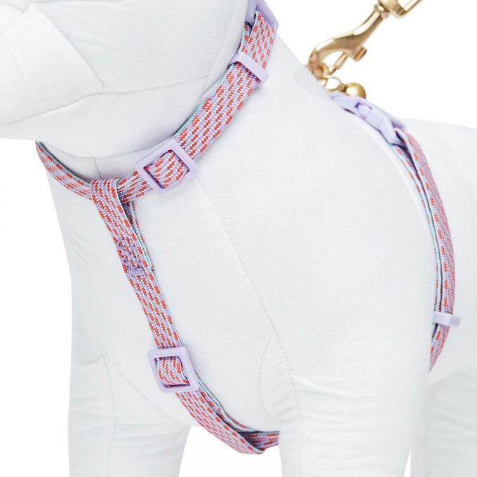 Breakaway Safety Cat Harness Collar , Personalized Cat Collars ...