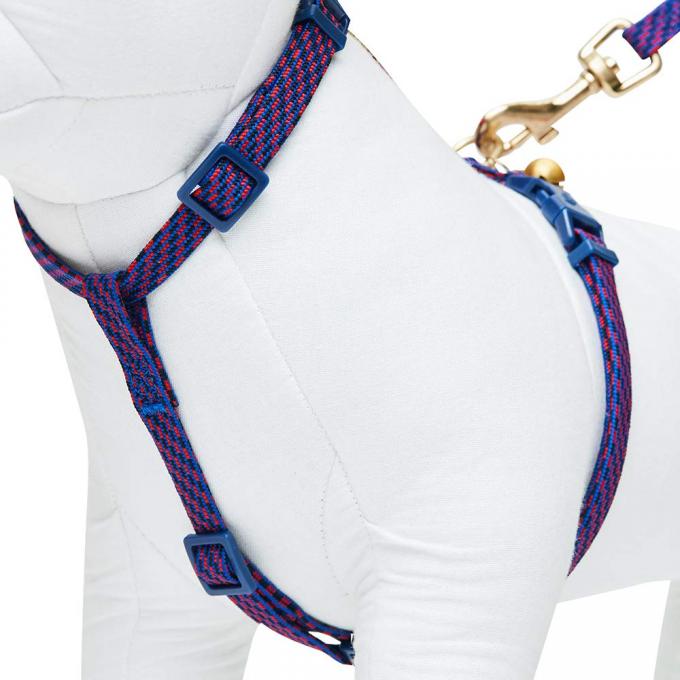 Breakaway Safety Cat Harness Collar , Personalized Cat Collars ...