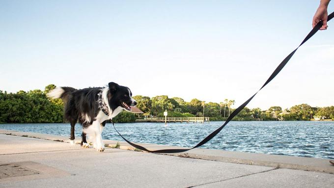 1 Inch Nylon 10 / 15 Foot Dog Leash Comfortable Neoprene Padded Handle